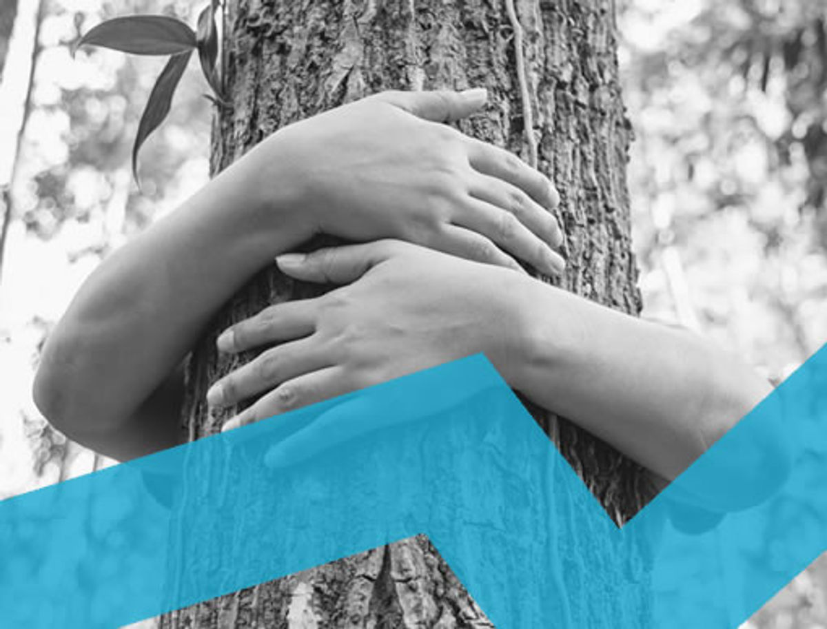 Sustainability Dissonance: What Travelers Say vs. What They Do (and What to Do About It ...